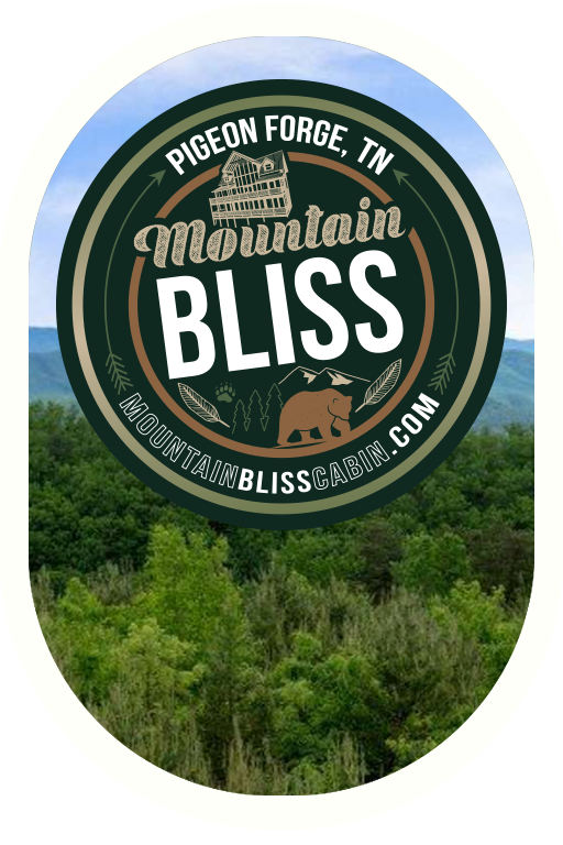 Mountain Bliss Cabin